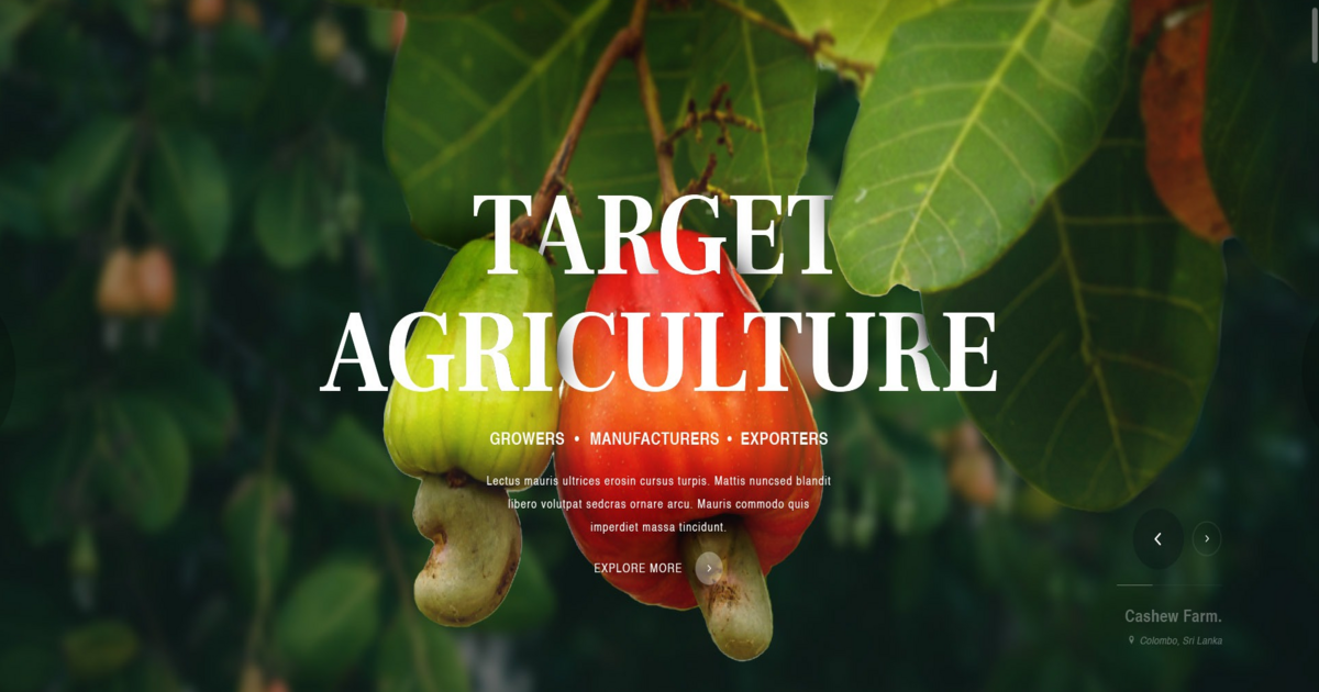 Our Naturland-certified cashews presented at Organic Asia Congress 2025 ...