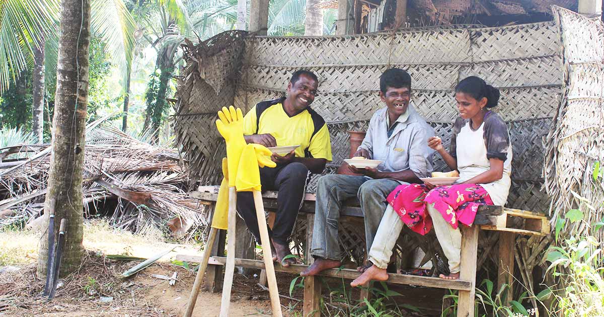 Organic, Sustainable Agro Product Exporter | Target Agriculture