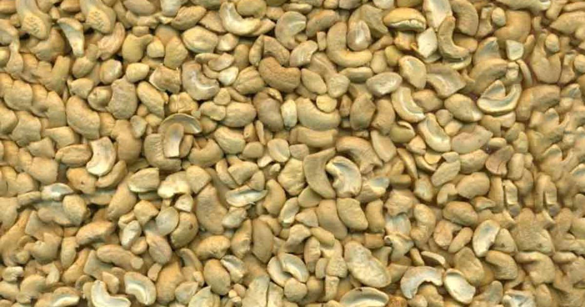 Organic Broken Large Cashew Kernels for Bulk Purchase | Target Agriculture