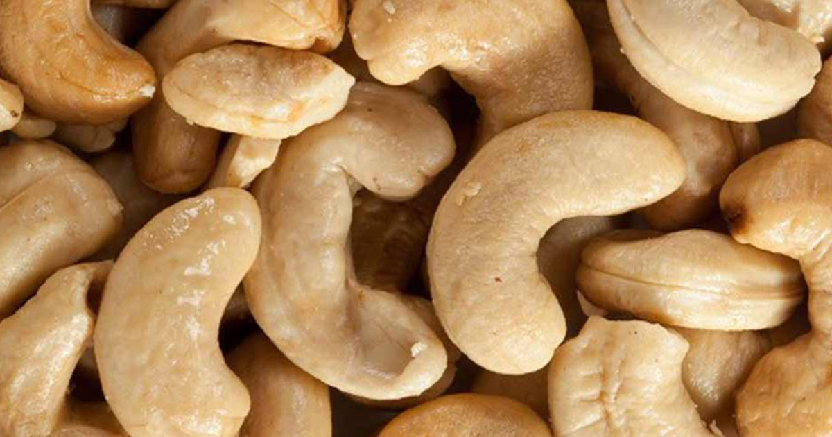 Organic Roasted Cashew Kernels for Bulk Purchase | Target Agriculture