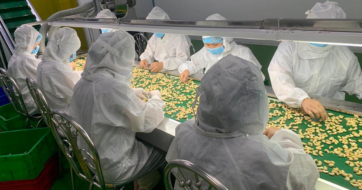 Our Processing Facilities in Sri Lanka | Target Agriculture