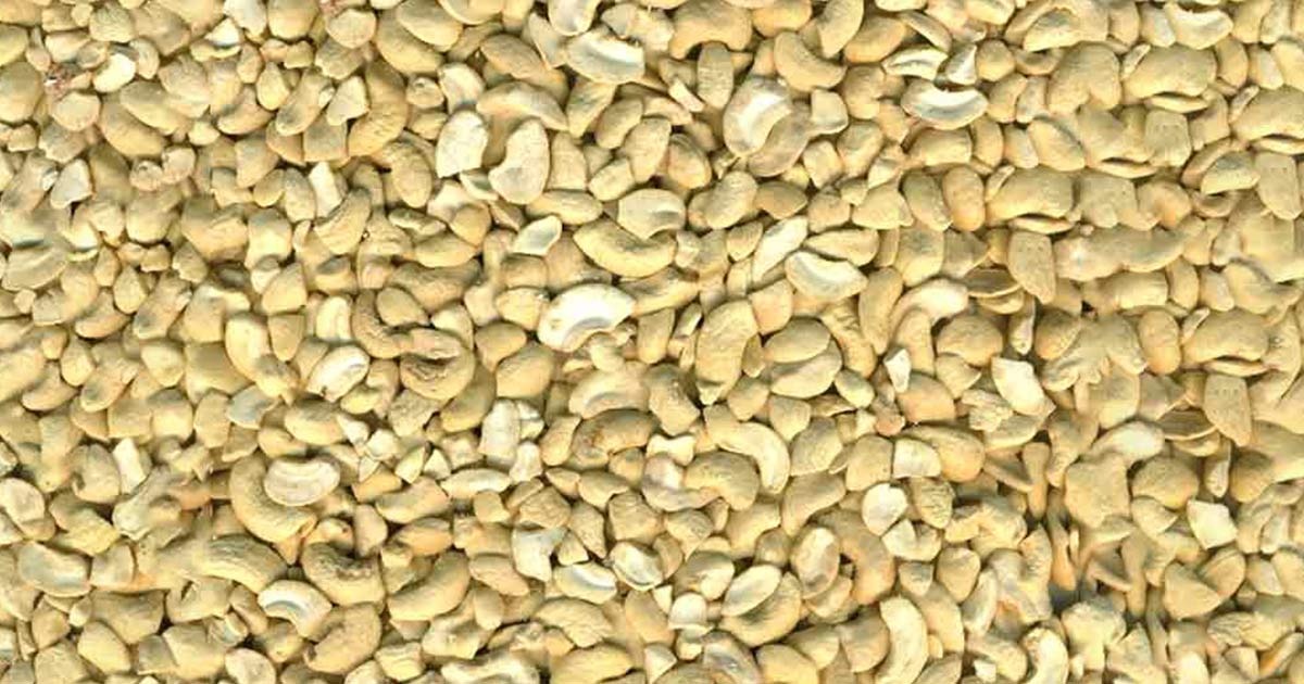 White Broken Large Cashew Kernels for Bulk Purchase | Target Agriculture