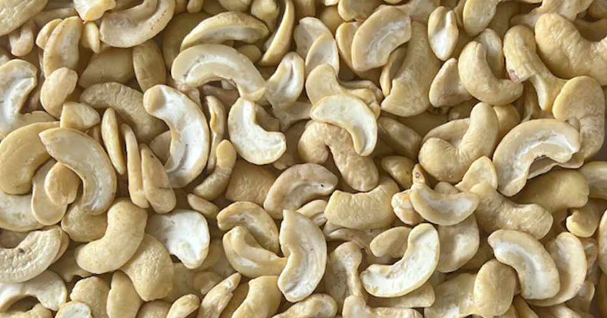 White Broken Cashew Kernels Supplier for Bulk Purchase | Target Agriculture