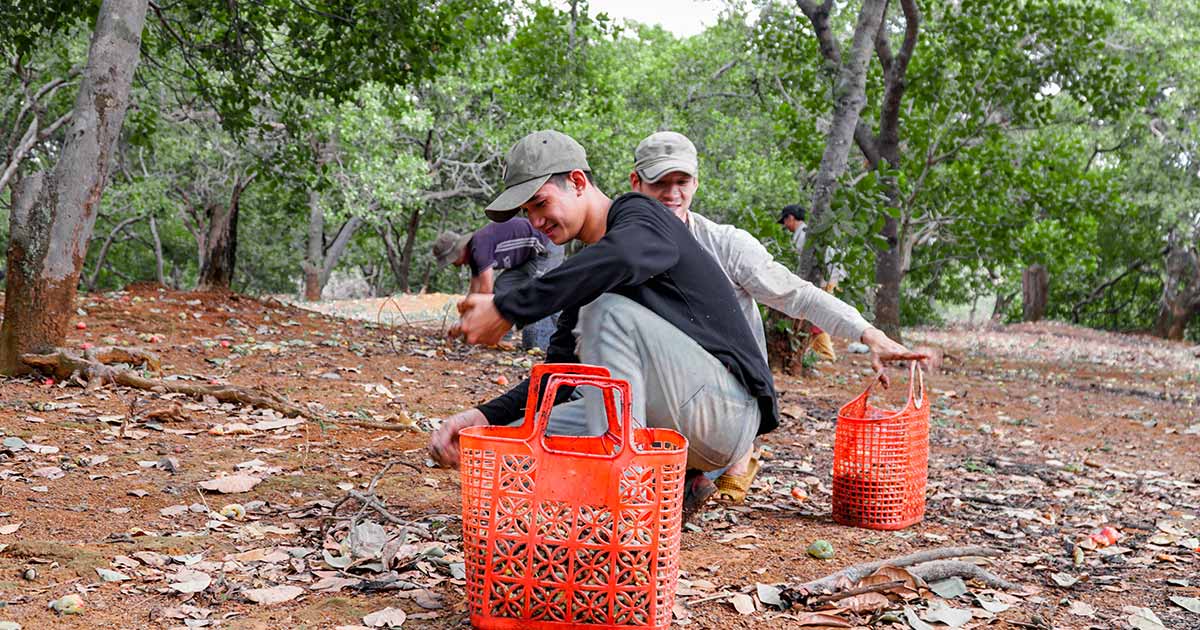 Sustainable Agriculture & Organic Food Processing in Vietnam | Target ...