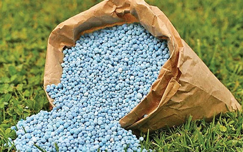 The Ingredient Beneath Every Organic Cashew: Why Compost Beats Fertilizer
