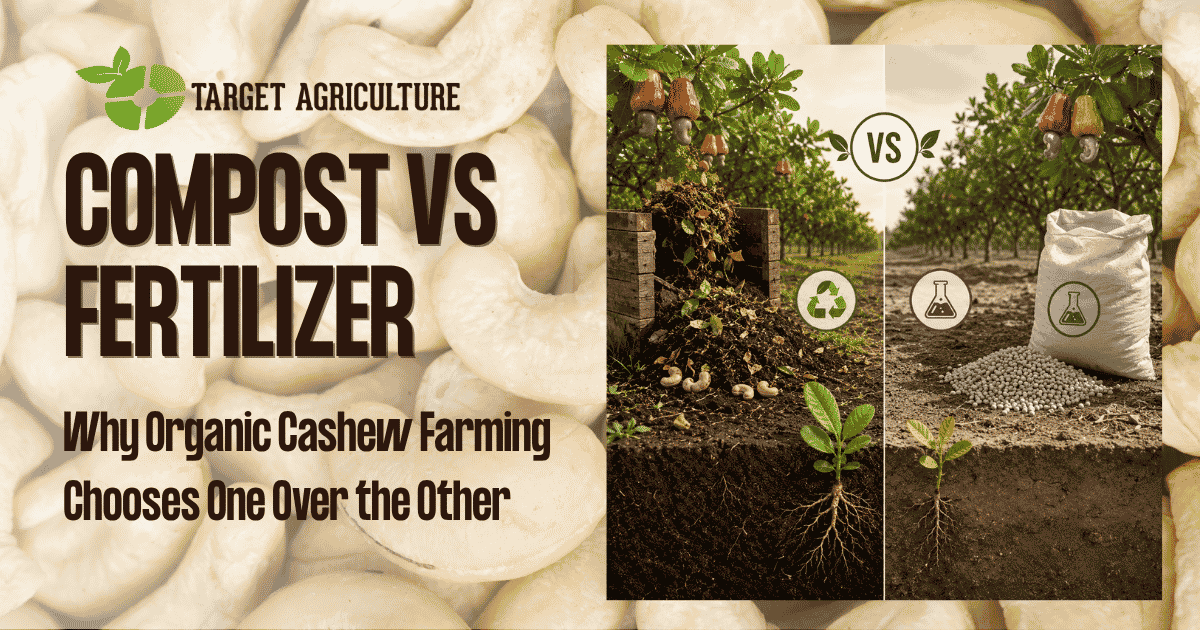 The Ingredient Beneath Every Organic Cashew: Why Compost Beats Fertilizer