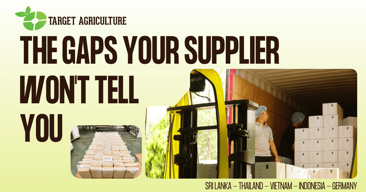 Why Cashew Shipments Fail: The System Gaps Buyers Never Check